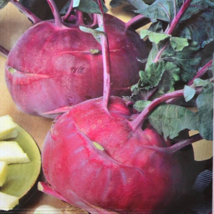 Buy Kohlrabi Blaro affordable | Gardens4You.co.uk